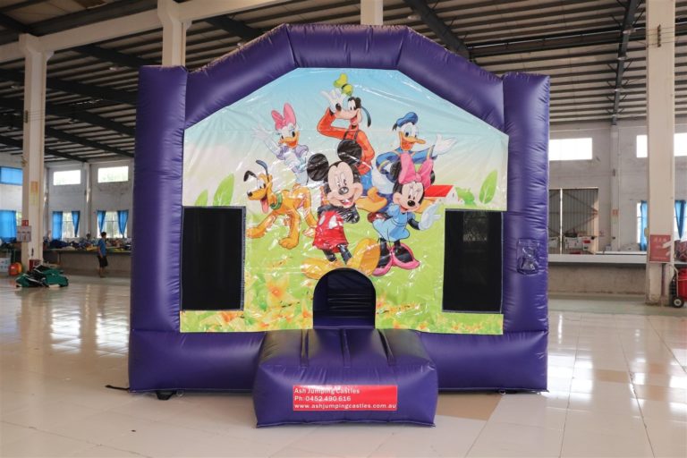 Jumping Castle Hire Sydney - Ash Jumping Castles